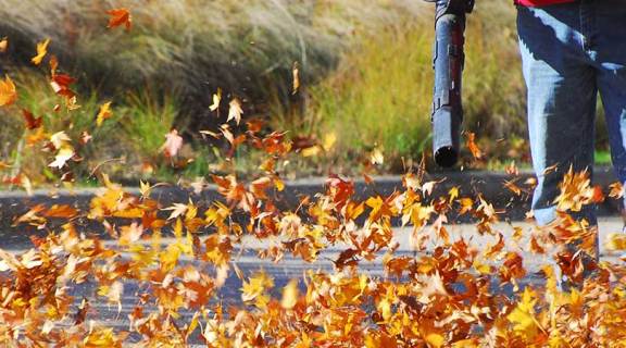 All the Top Leaf Blowers - BestReviews