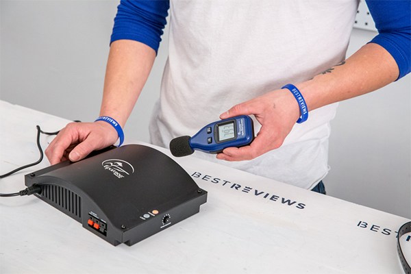 5 Best Invisible Fences - Aug. 2025 - BestReviews