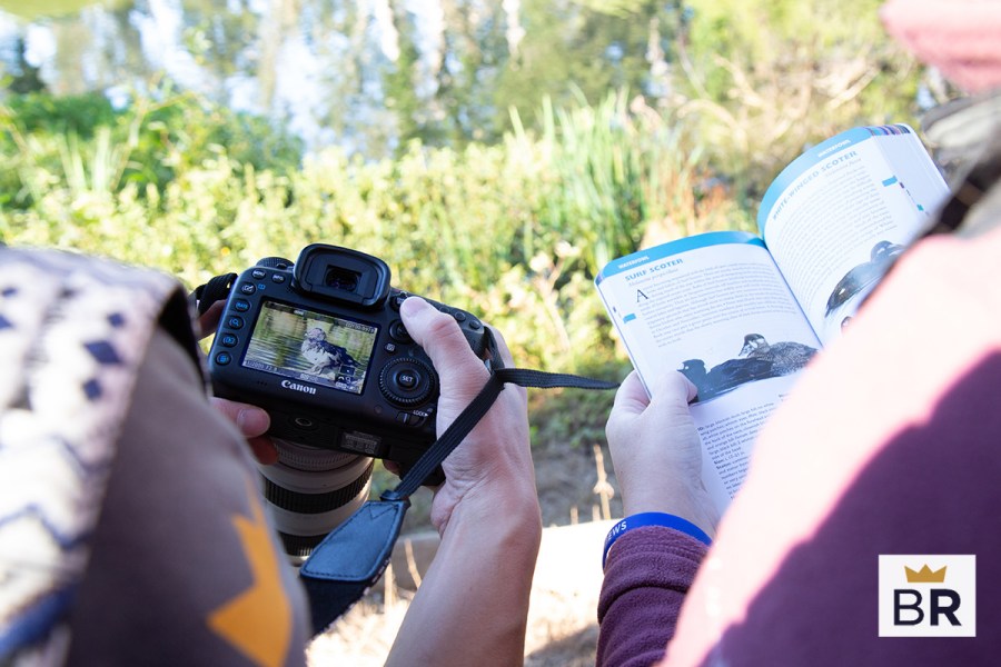5 Best Bird Field Guides - Aug. 2025 - BestReviews