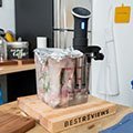 9 Best Sous Vide Machines - Feb. 2025 - BestReviews
