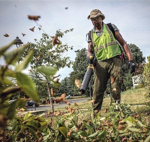 5 Best Backpack Blowers - June 2025 - BestReviews